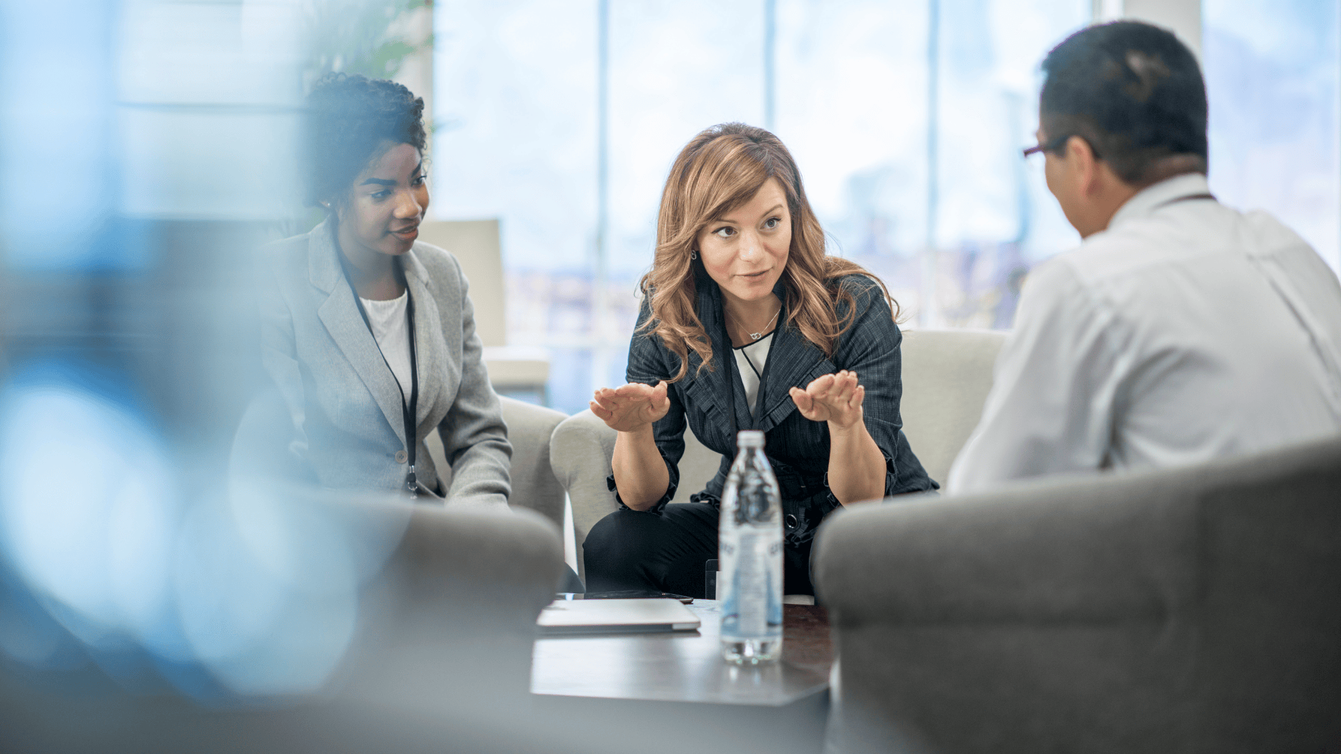 Organisational Capability Challenges - Alchemy Solutions